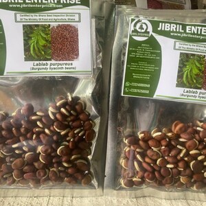 Burgundy Hyacinth Beans (lablab Purpureus), 100 Seeds/10 USD, Shipping ...