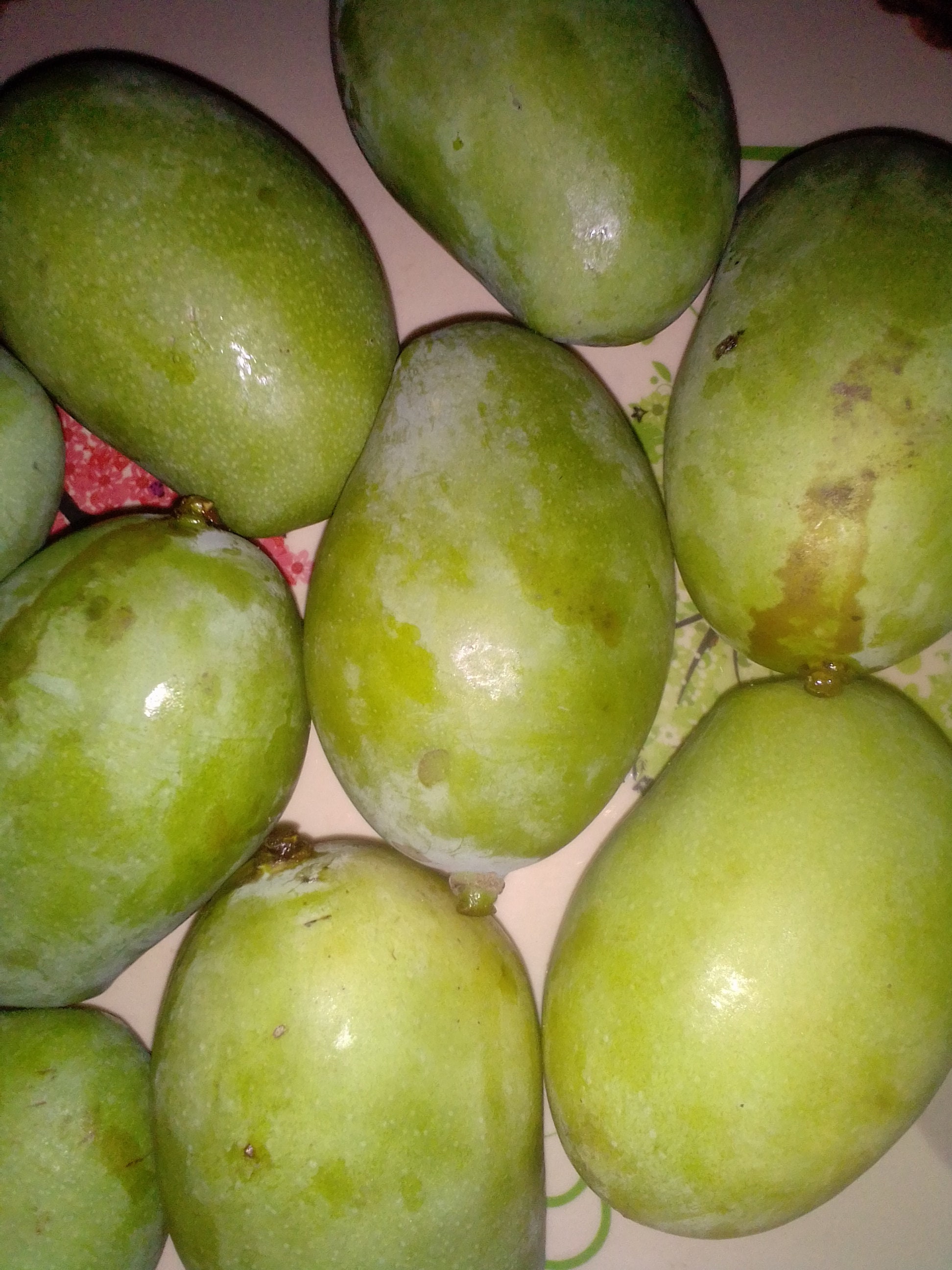 African bush mangoIrvingia gabonensis 7 seeds cost13 USD | Etsy