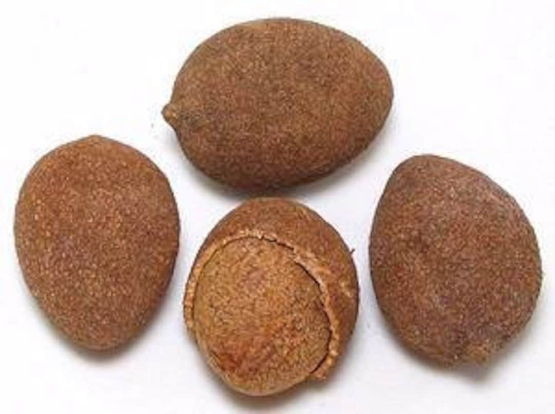 Parinari Excelsa, Gbafilo , 7 Balls /10 USD, Shipping 10 USD, Phyto ...