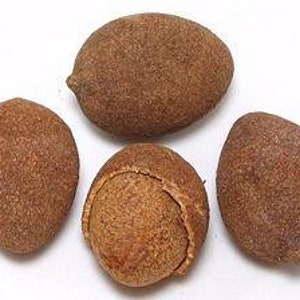 Parinari Excelsa, Gbafilo , 7 Balls /10 USD, Shipping 10 USD, Phyto ...