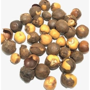 Country Onion, Afrostyrax Lepidophyllus, 50g/10 USD, Shipping is 10 USD ...