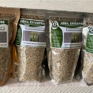 Ghanaian Pearl Millet Seeds, Non Hybrid, 200g for 11 USD, Shipping Cost ...