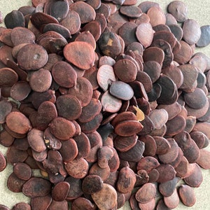 Achi, Brachystegia Eurycoma, 50g/6 USD, Shipping Cost is 10 USD, Phyto ...