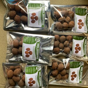 Parinari Excelsa, Gbafilo , 7 Balls /10 USD, Shipping 10 USD, Phyto ...