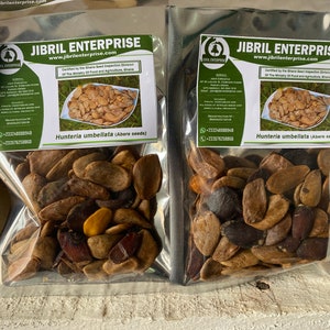 Hunteria Umbellata, Abere, 100g/11 USD, Shipping 10 USD, Phyto ...
