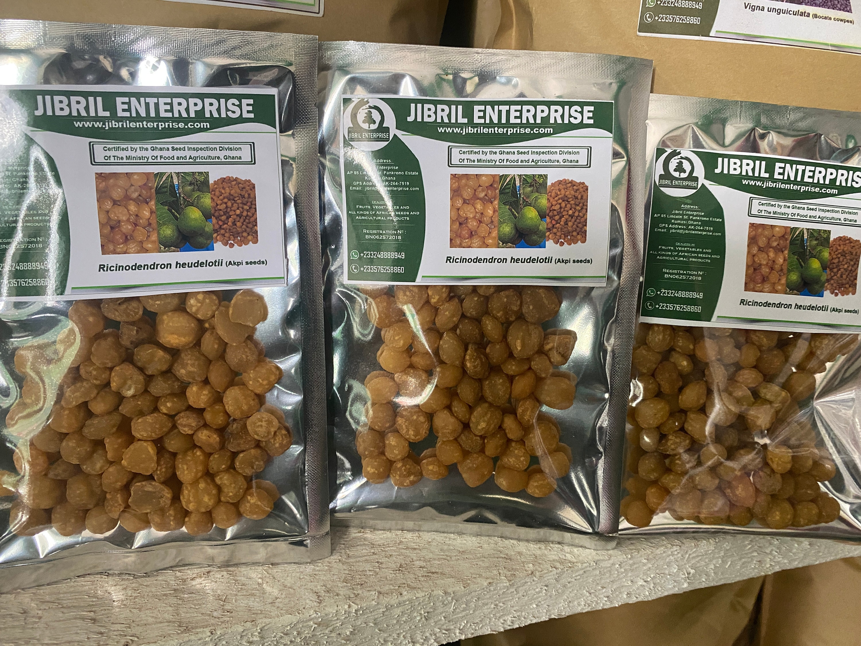 Akpi Ricinodendron Heudelotii 50g/10 USD Shipping Cost is - Etsy