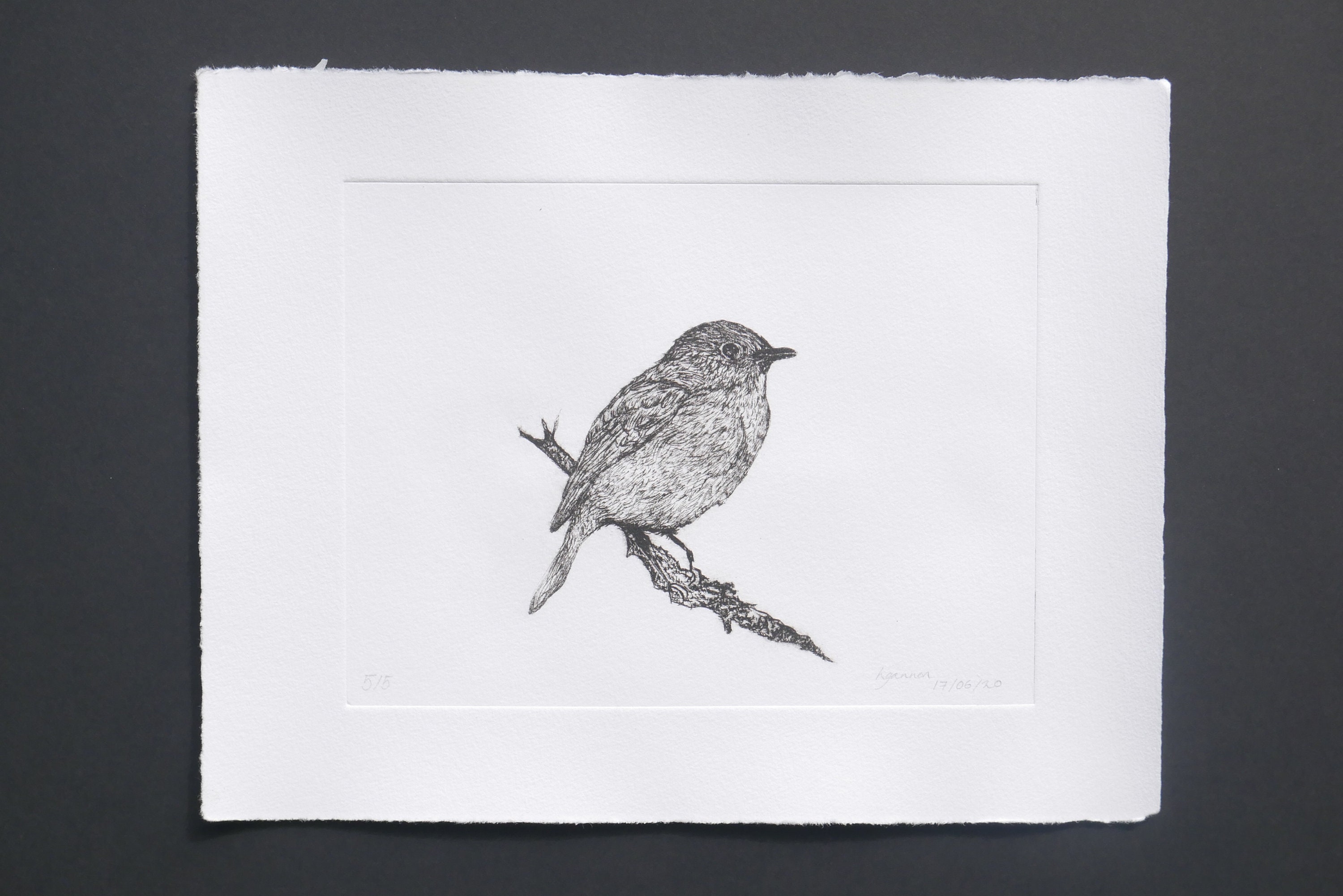 Limited Edition Hand Printed Robin Drypoint Intaglio Etching - Etsy