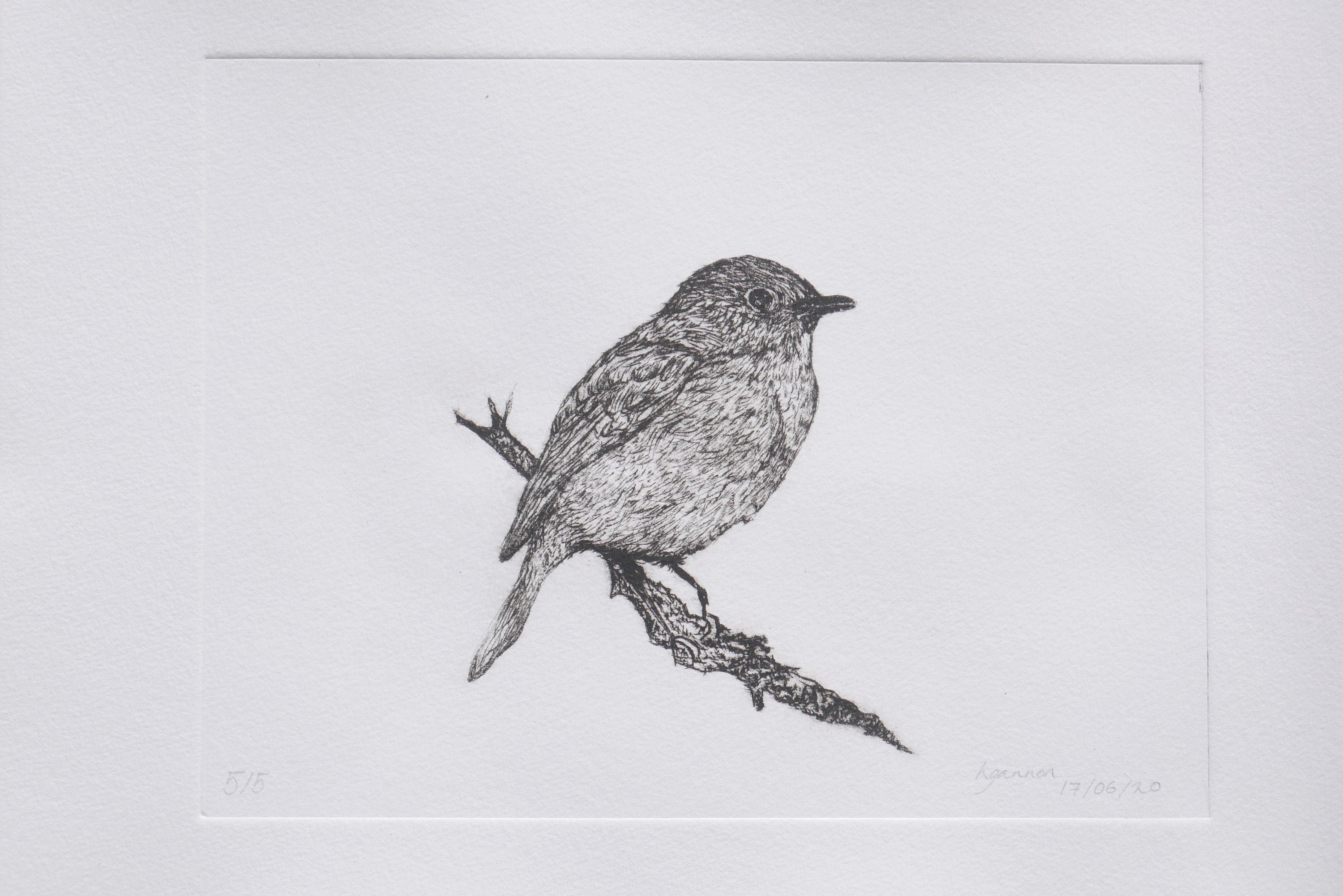 Limited Edition Hand Printed Robin Drypoint Intaglio Etching - Etsy