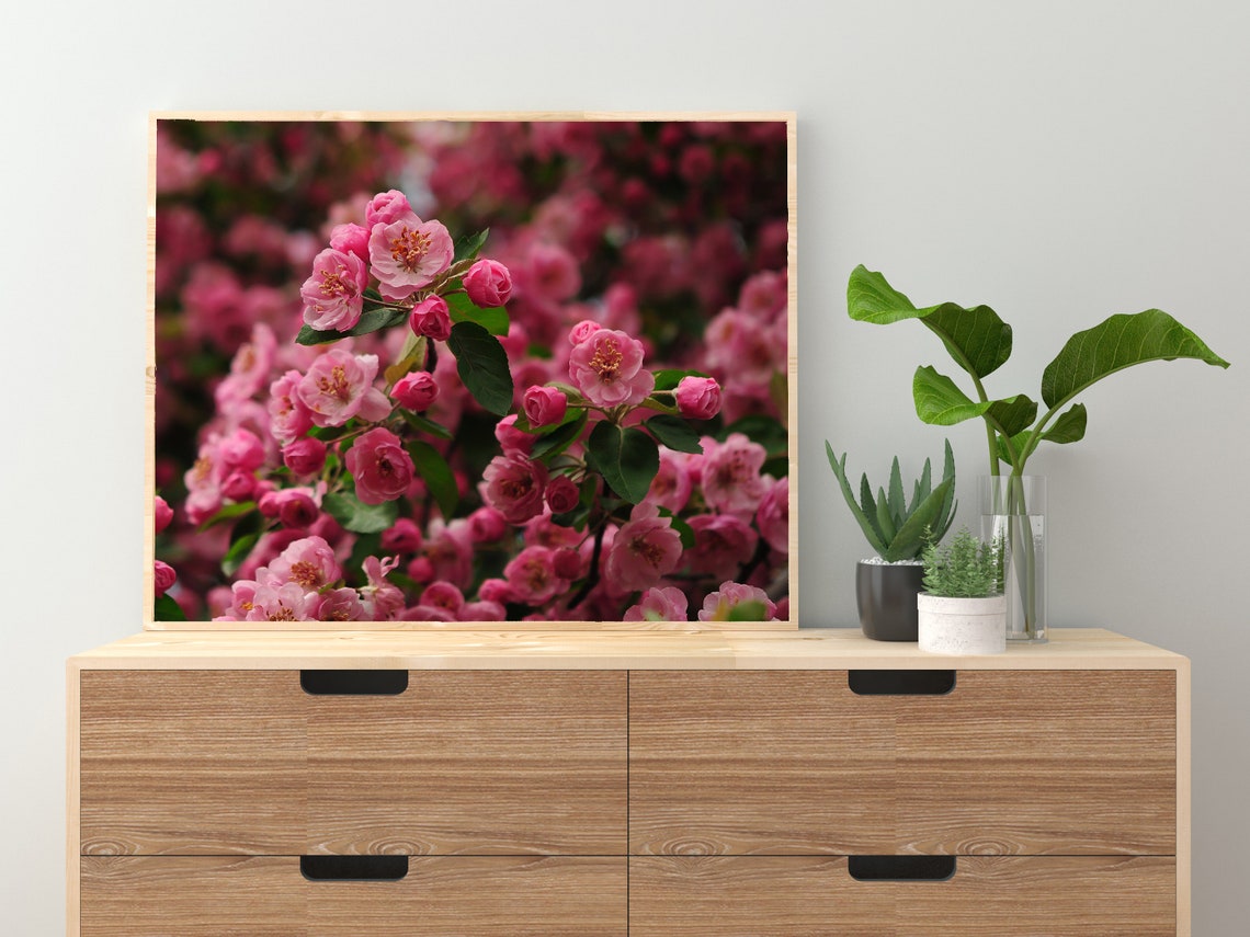 Crabapple, Spring, Flowers, Wall Art, Digital Download, Flowers, Pink ...