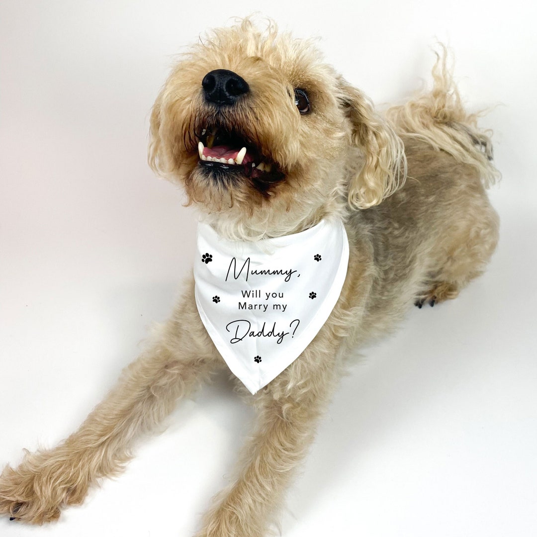 Mummy Will You Marry My Daddy Printed Dog Neckerchief, Printed Dog ...