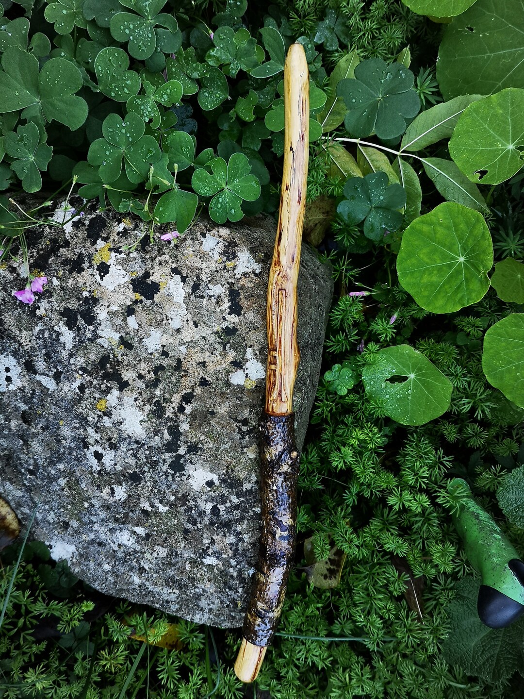 Celtic Ogham WAND Oak. Unique and Lovingly Hand Carved for Pagans ...
