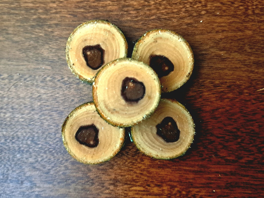 Apple Wood Coin Chews Fresh Cut to Order 4oz Pack - Etsy