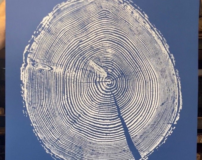 English Larch, White on Navy, Tree Ring Print, Blue Tree Ring Print ...
