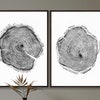 Western Red Cedar, Tree Ring Print, Black and White Tree Ring Print ...