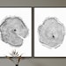 Western Red Cedar, Tree Ring Print, Black and White Tree Ring Print ...