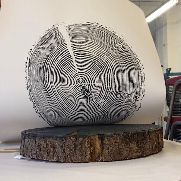 Tree Rings Print - Etsy