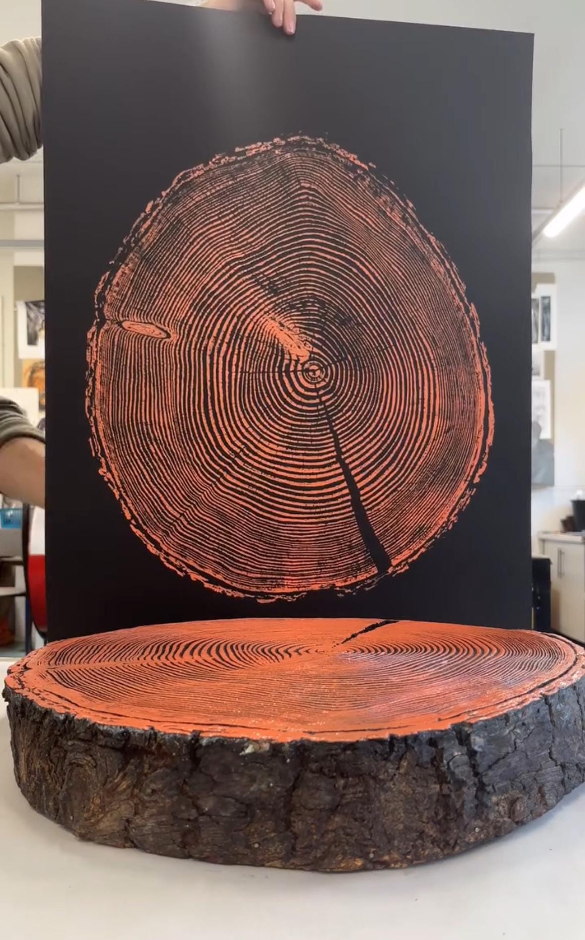 English Larch, Tree Ring Print, Black and White Tree Ring Print, Large ...