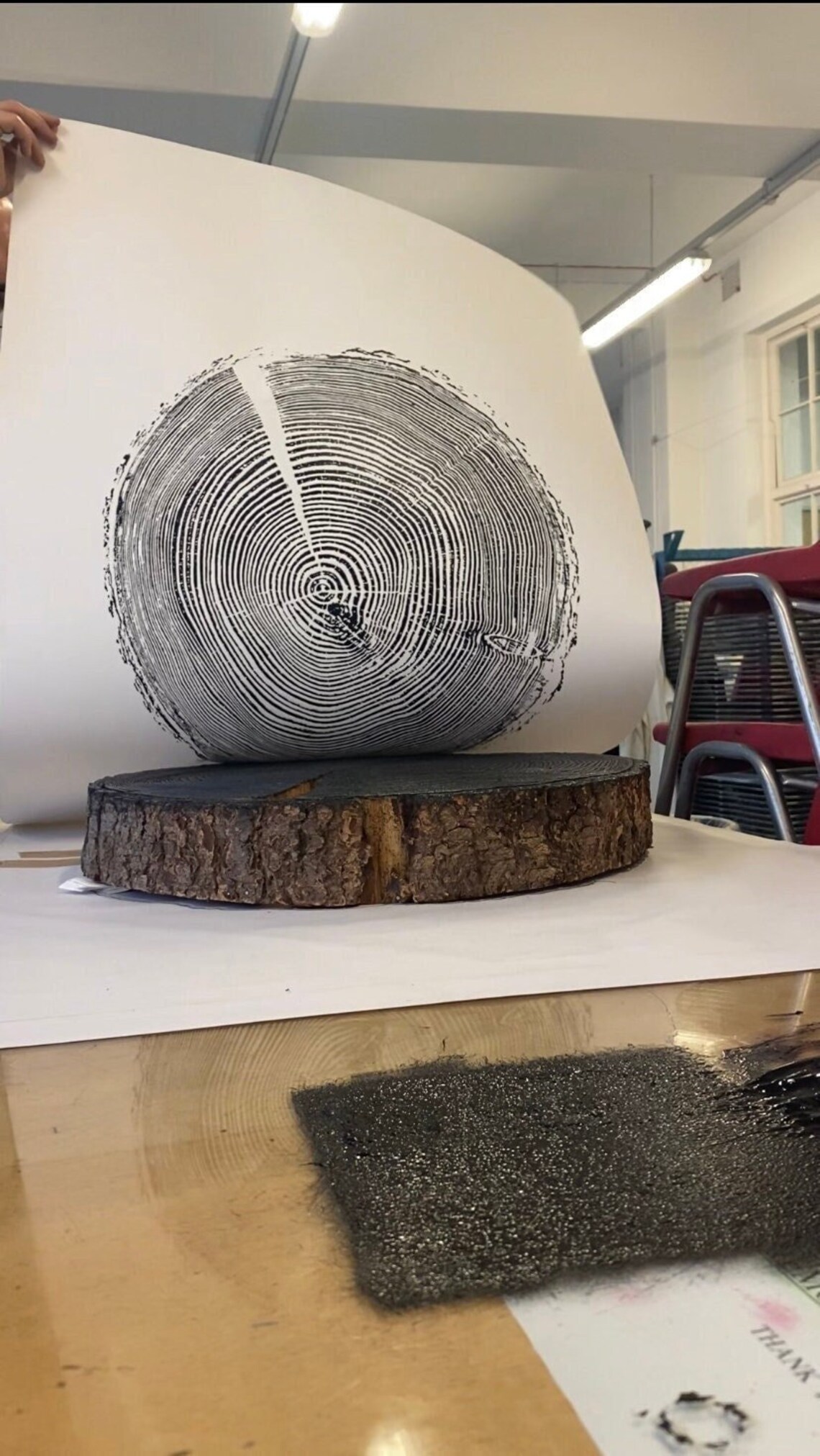 English Larch Tree Ring Print Black and White Tree Ring | Etsy UK