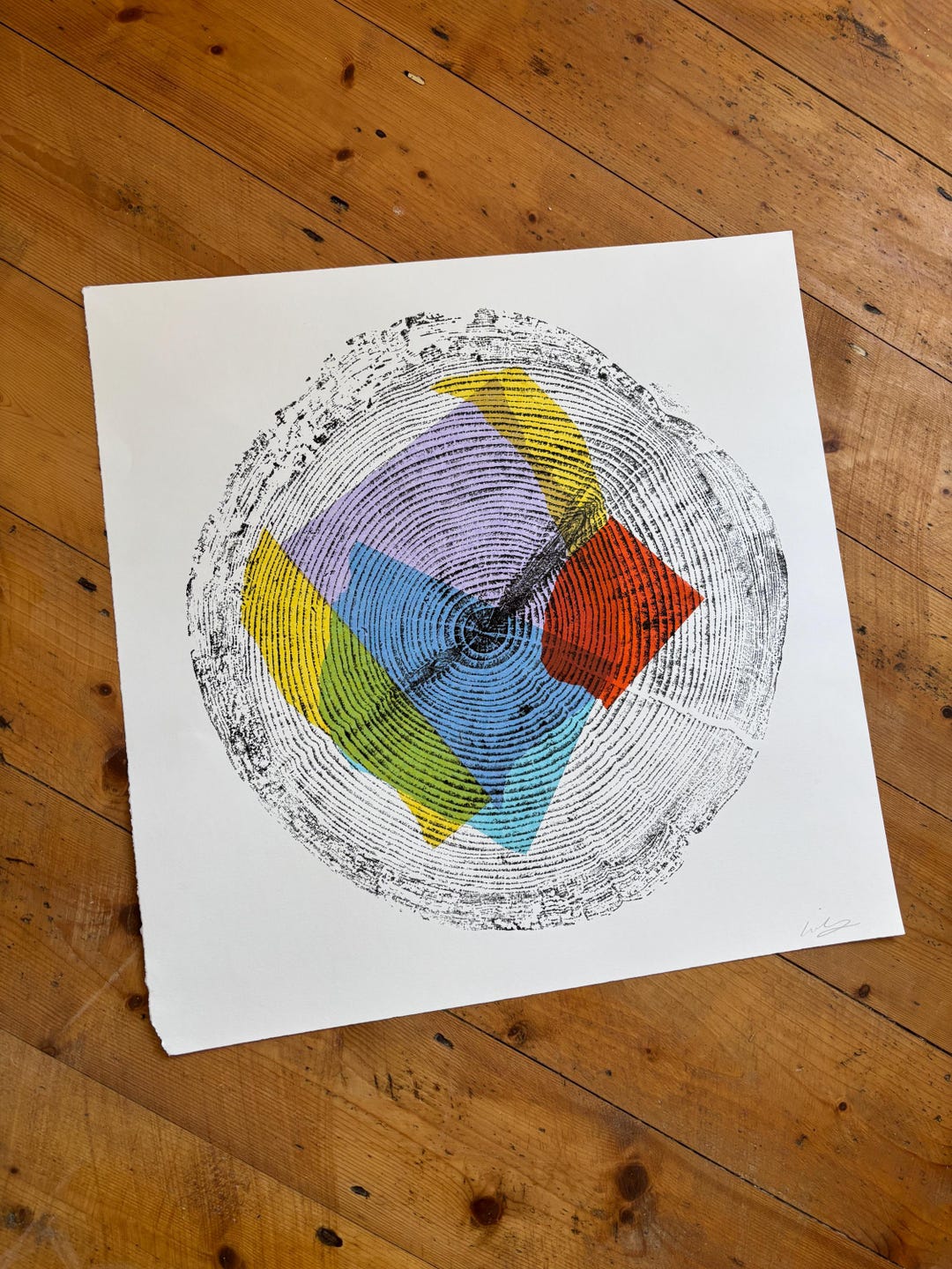 English Larch Tree Ring Print: Blue & Yellow - Etsy
