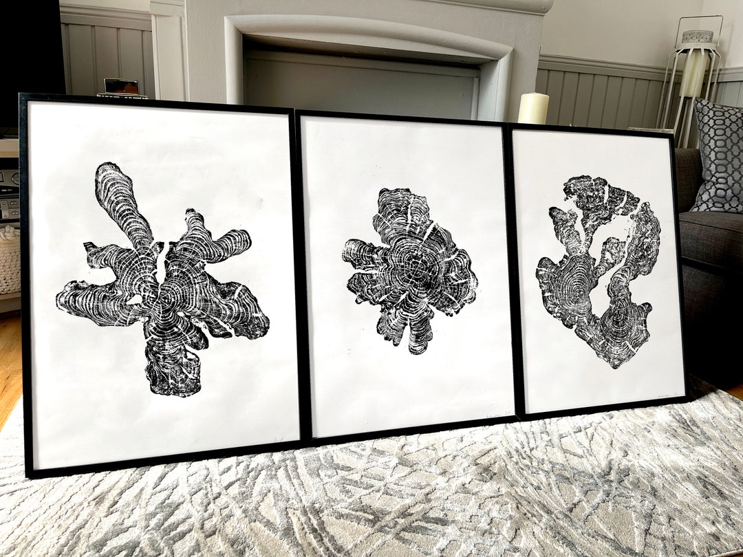 Set of 3 Large Olive Tree Ring Prints - Black and White Wood Posters ...