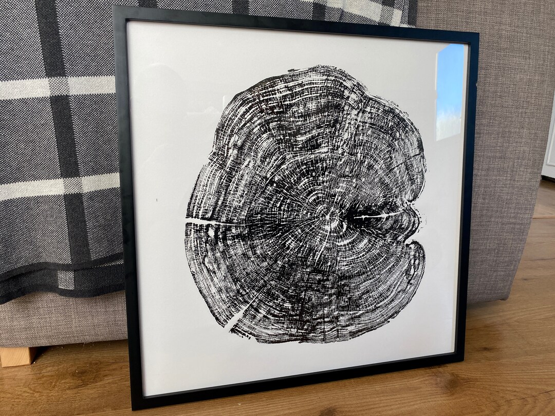 Tree Ring Print, Round Tree Ring Print, Yew Tree, Yew Tree Ring Print ...