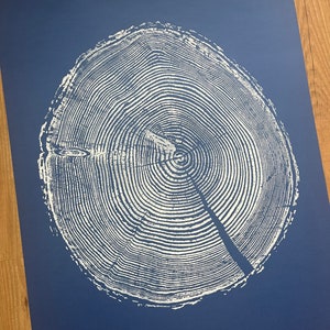 English Larch, White on Navy, Tree Ring Print, Blue Tree Ring Print ...