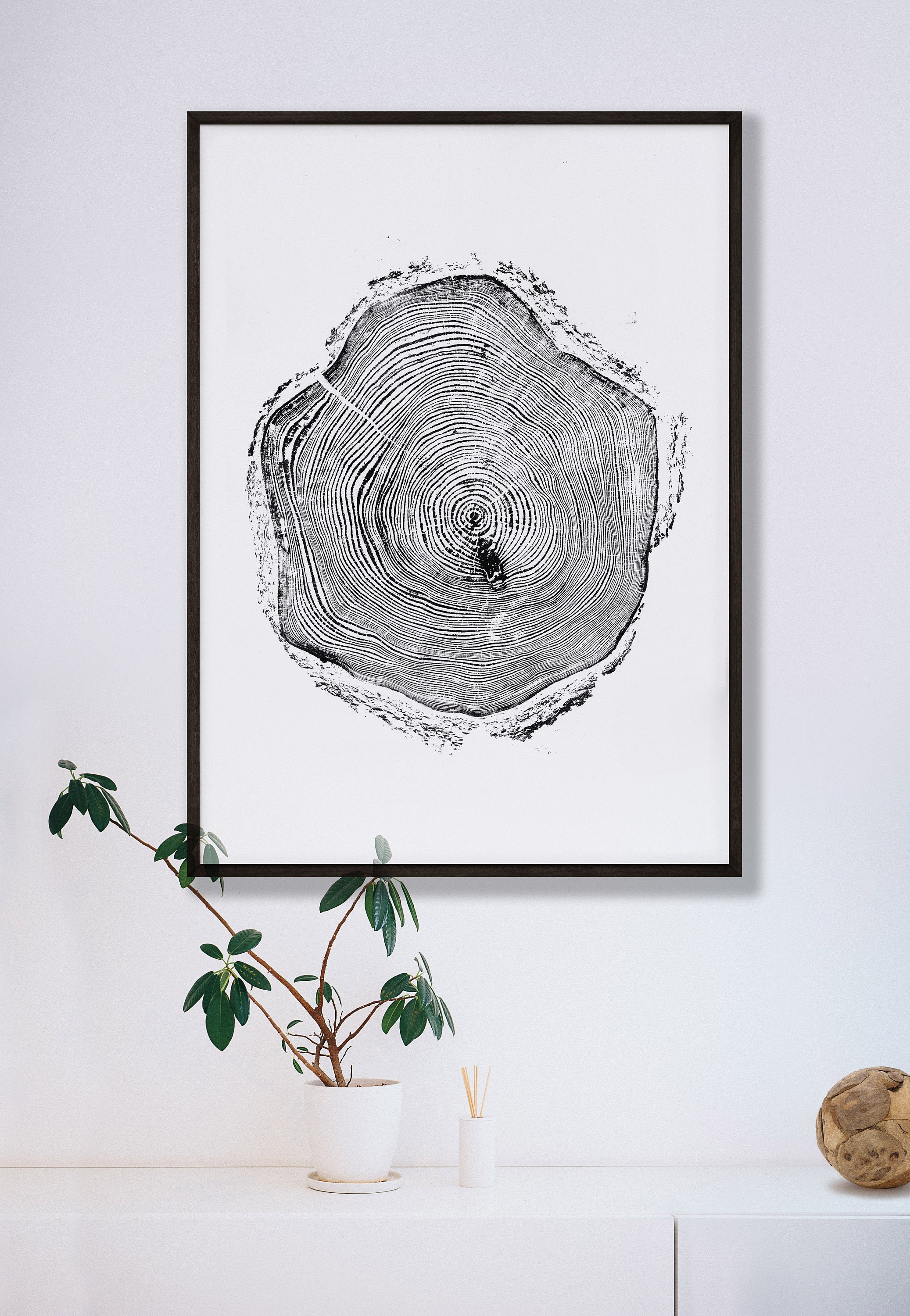 Tree Ring Print Larch Tree Larch Tree Ring Print Tree Ring - Etsy UK