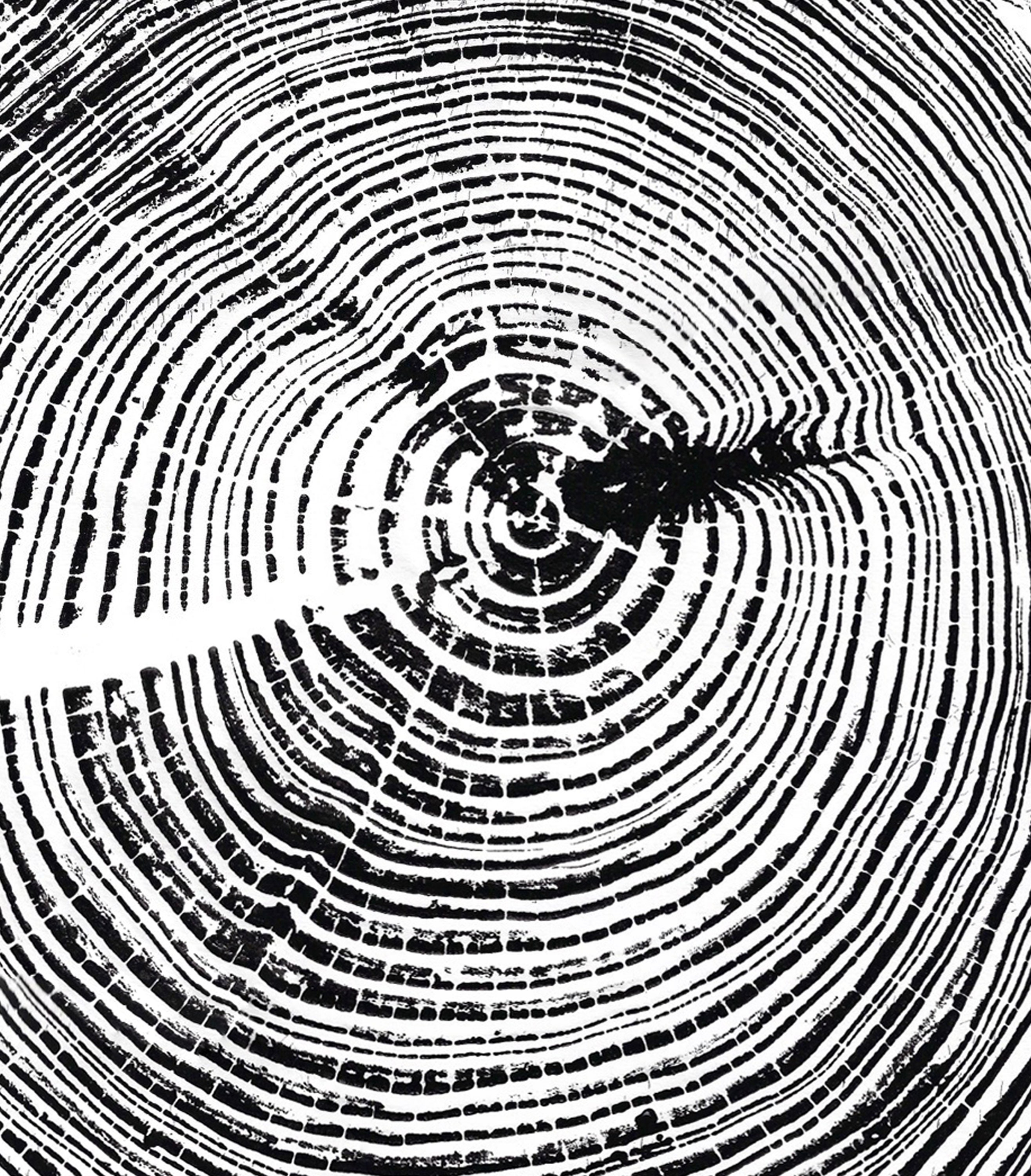 Tree Ring Print Larch Tree Larch Tree Ring Print Tree Ring | Etsy