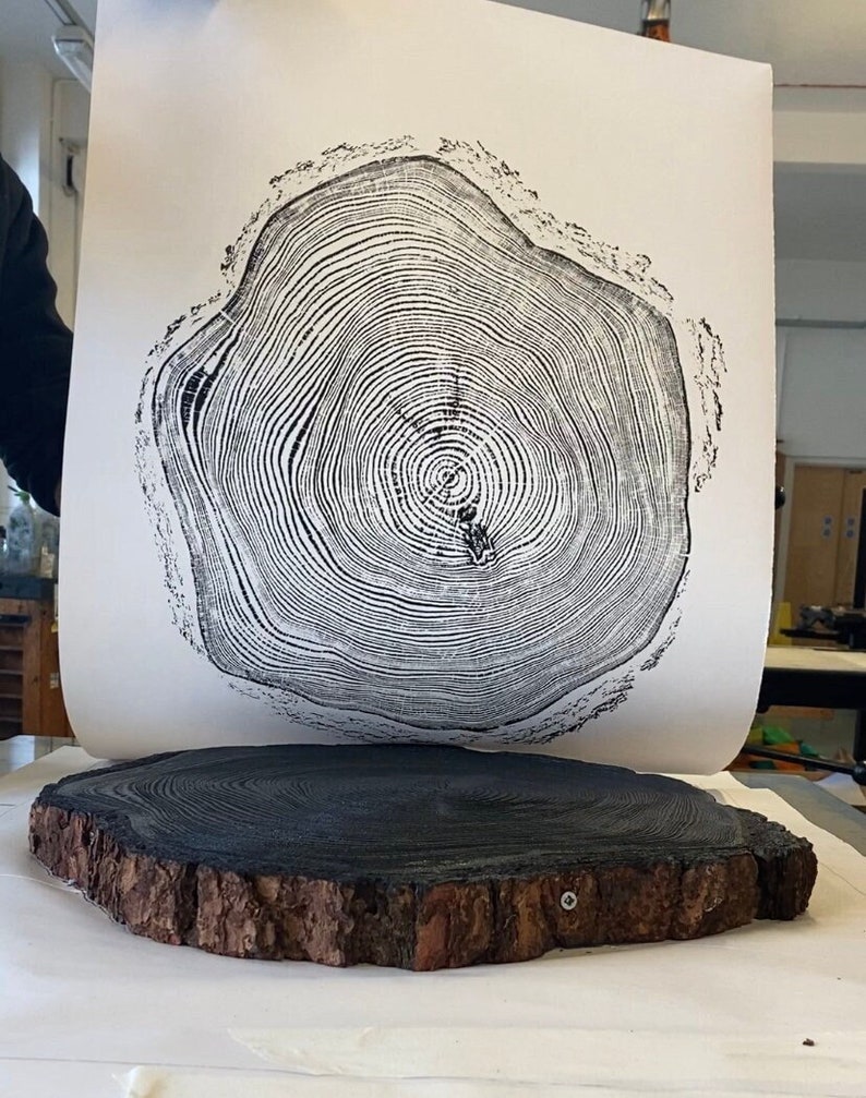 Tree Ring Print Larch Tree Larch Tree Ring Print Tree Ring - Etsy UK