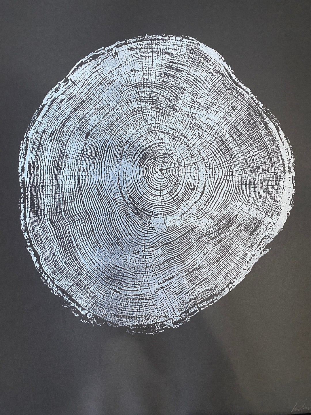 Tree Ring Print, Scottish Oak, Oak Tree Ring Print, Large Woodcut Print ...