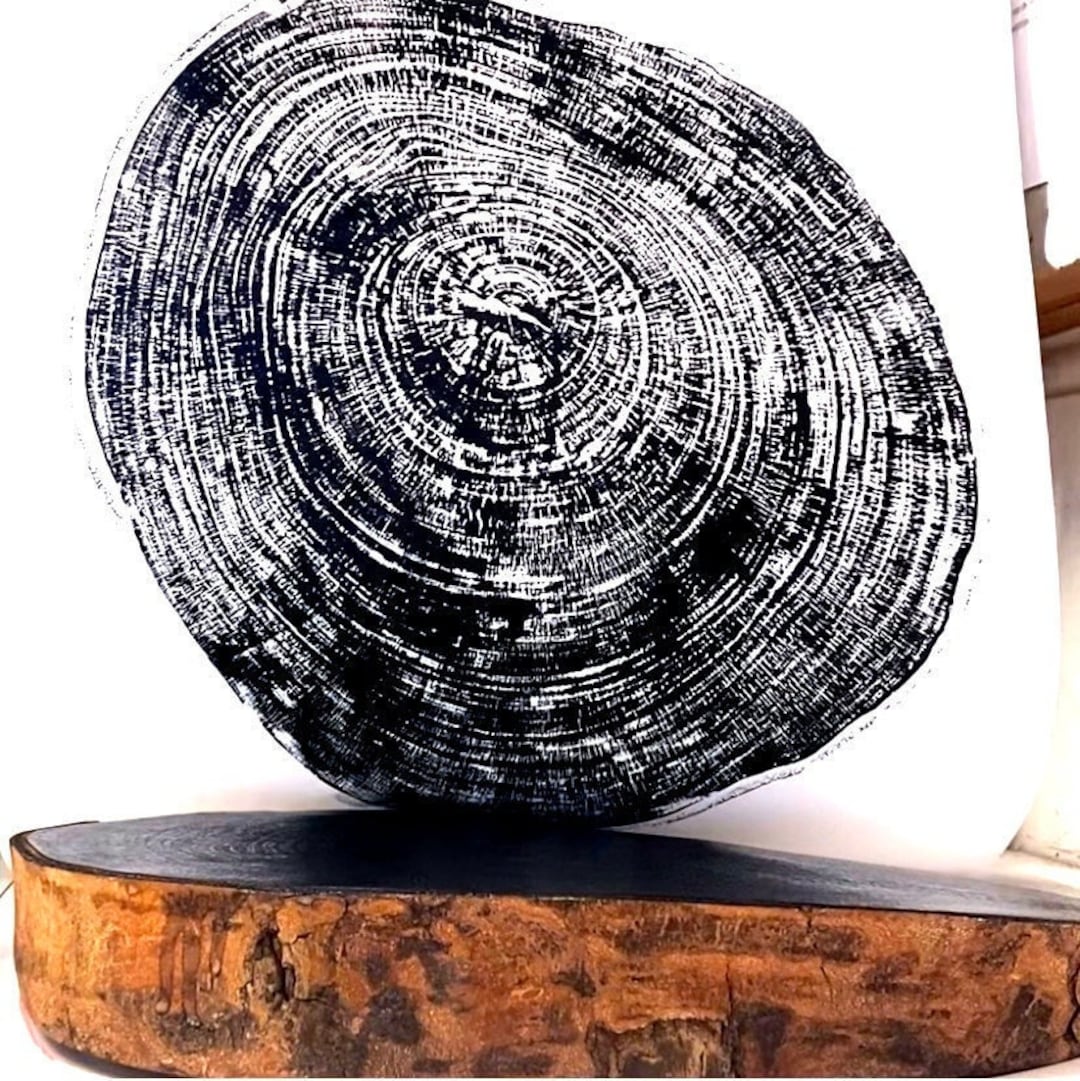 Tree Ring Print, Sycamore Tree, Sycamore Tree Ring Print, Tree Ring ...