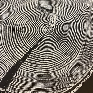 Larch Tree Ring Print, Woodcut Print, Tree Ring Print, Handmade Print ...