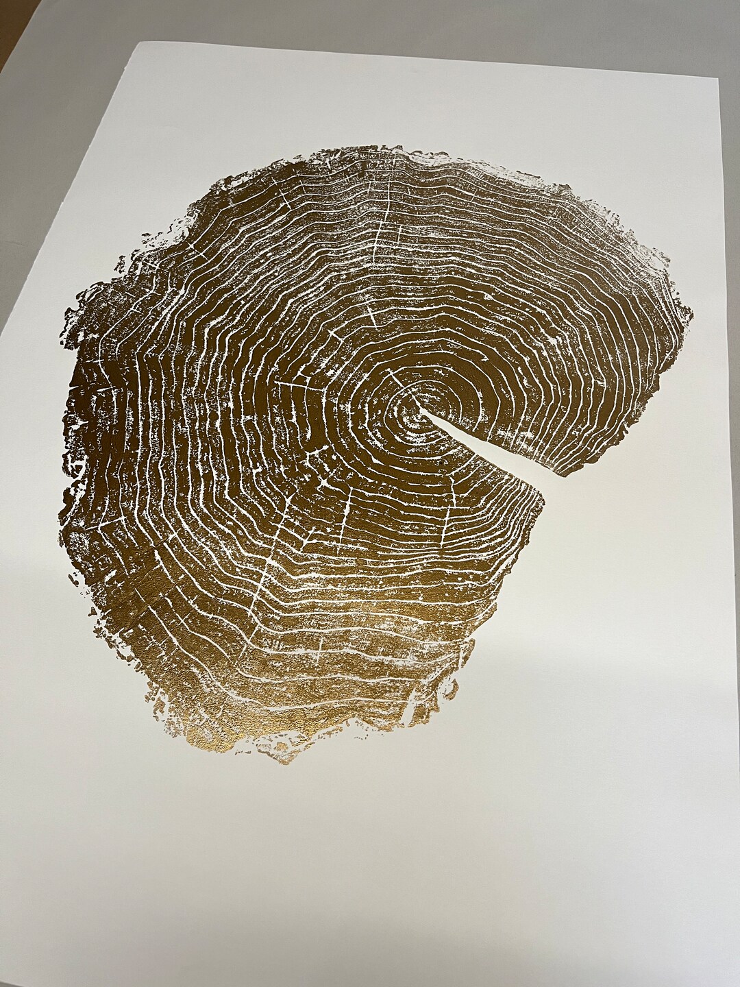 Willow Tree, Tree Ring Print, Gold and White Tree Ring Print, Large ...