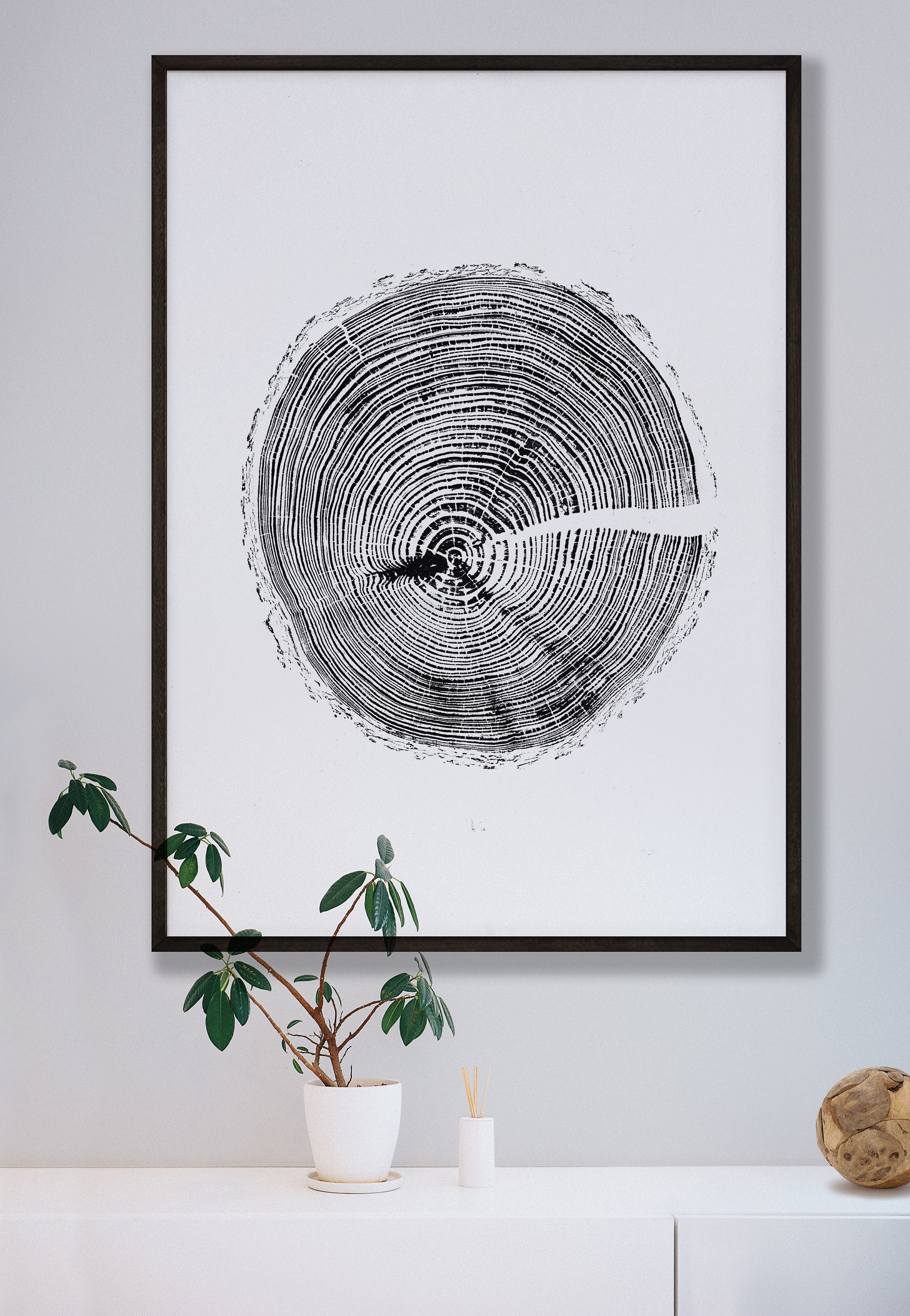 Tree Ring Print Larch Tree Larch Tree Ring Print Tree Ring | Etsy