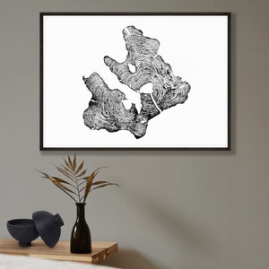 Olive Tree Ring Print: Black & White Botanical Art, 70x50cm - Etsy