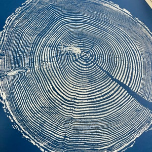 English Larch, White on Navy, Tree Ring Print, Blue Tree Ring Print ...