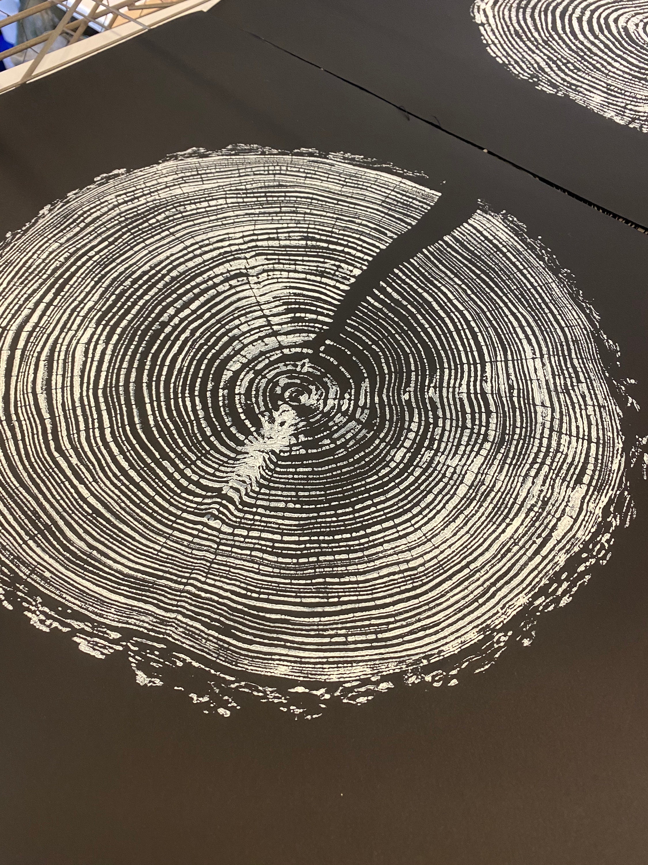 Tree Ring Print English Larch Larch Tree Ring Print Large | Etsy