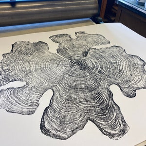 Set of Three Large Tree Ring Prints, Tree Stump Prints, Tree Ring Print ...