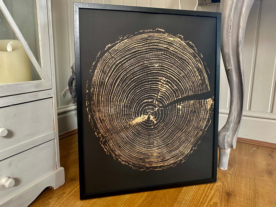 English Larch Tree Ring Print: Gold Woodcut on Black Fabriano Paper - Etsy