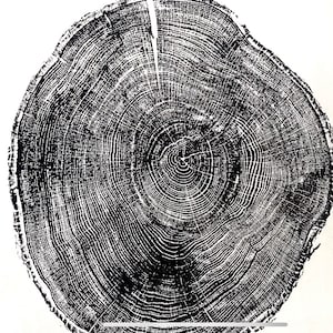 Tree Ring Print, Scottish Oak, Oak Tree Ring Print, Large Woodcut Print ...