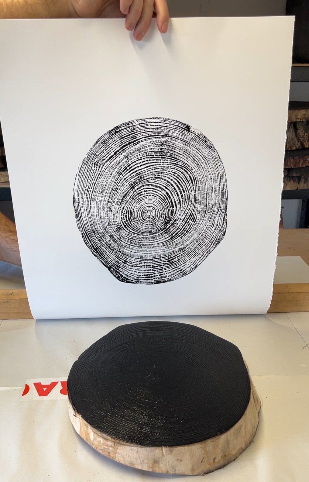 Tree Ring Print, Larch Tree, Larch Tree Ring Print, Tree Ring Prints ...