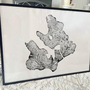 Olive Tree Ring Print: Black & White Botanical Art, 70x50cm - Etsy