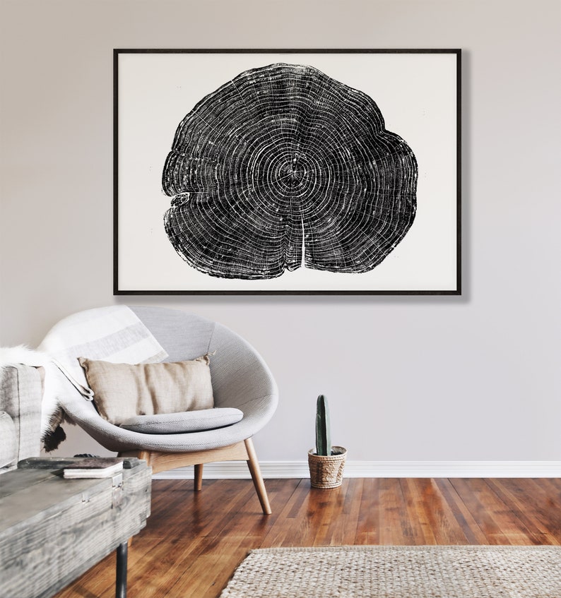 Cypress Tree Ring Print Cypress Tree Cypress Tree Ring - Etsy