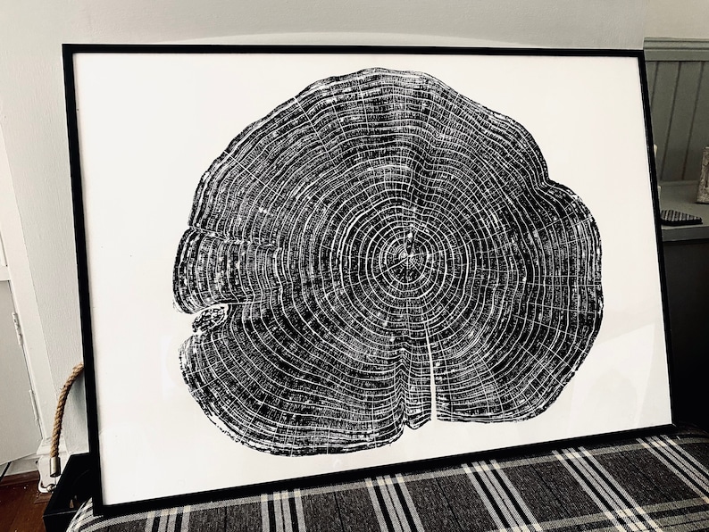 Cypress Tree Ring Print Cypress Tree Cypress Tree Ring - Etsy