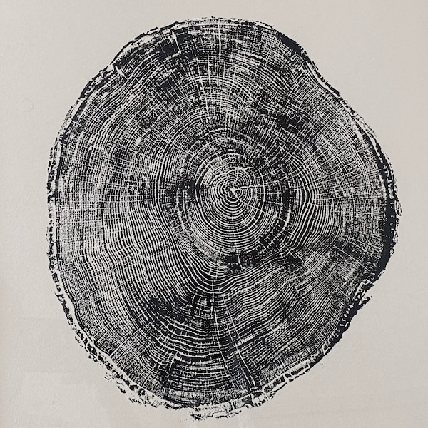 Tree Ring - Etsy