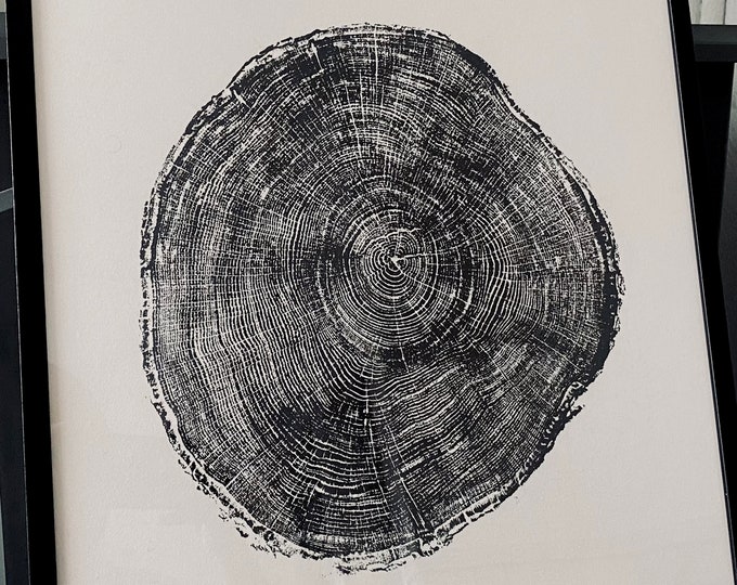 Tree Ring Print Scottish Oak Oak Tree Ring Print Large - Etsy