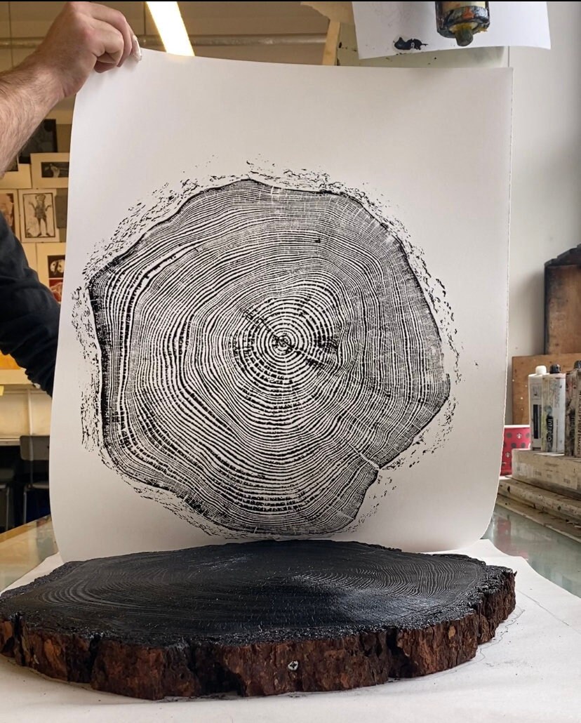Tree Ring Print Larch Tree Larch Tree Ring Print Tree Ring | Etsy