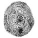 Western Red Cedar, Tree Ring Print, Black and White Tree Ring Print ...