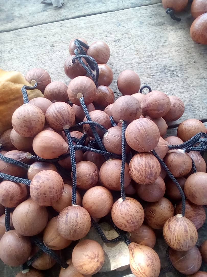 Aslatua / Kosh Kash / Thelevi Shakers / 1 2 Shake Shake - Etsy