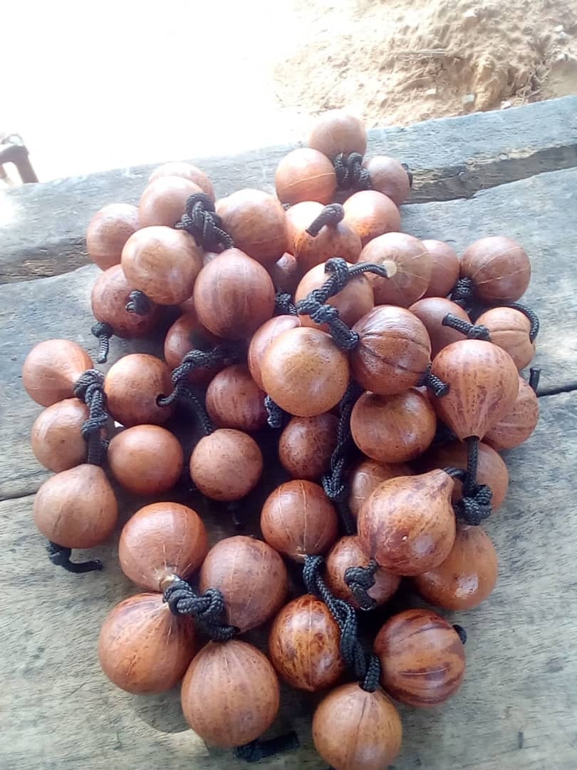 Aslatua / Kosh Kash / Thelevi Shakers / 1 2 Shake Shake - Etsy